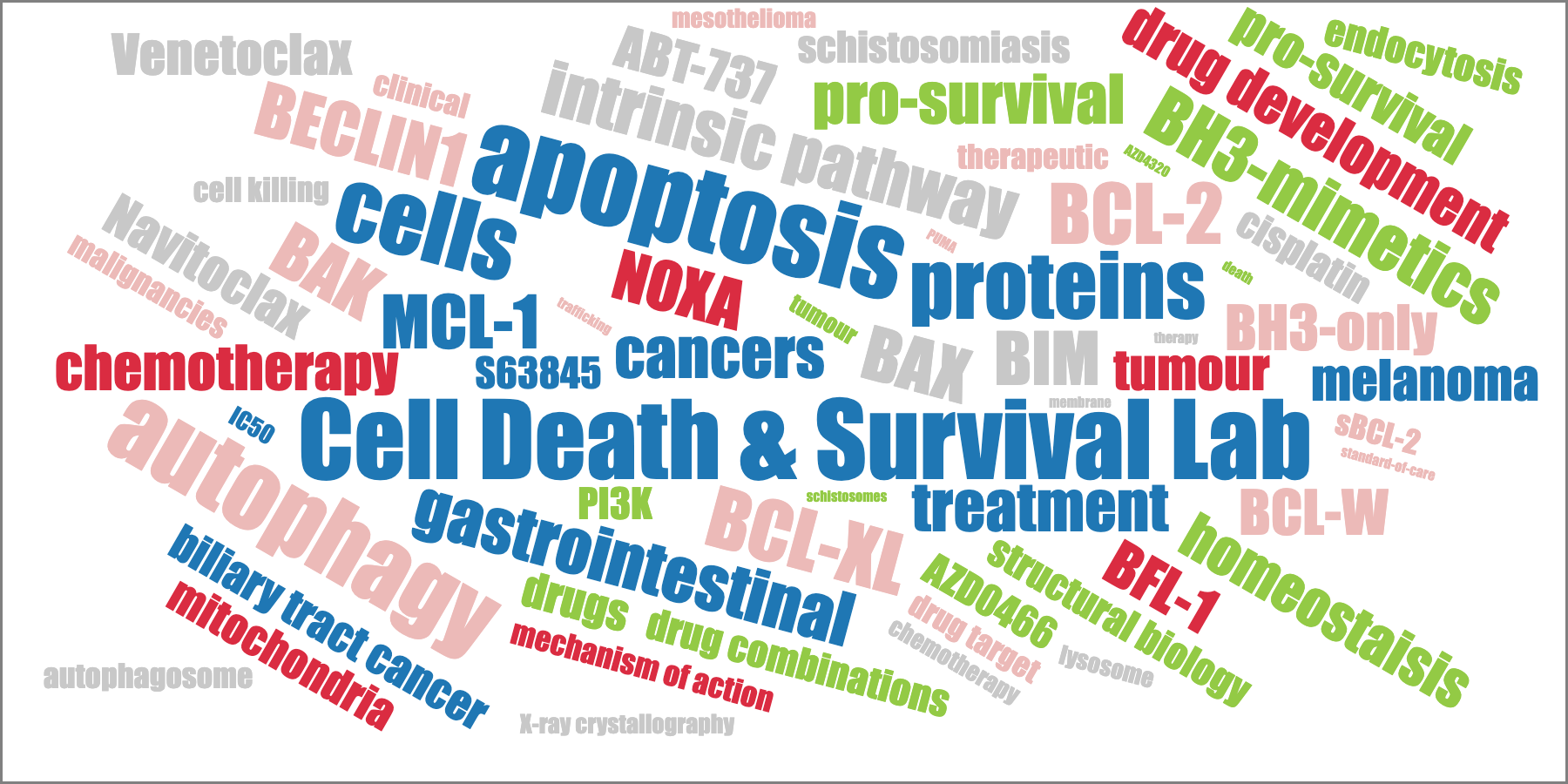 Cell Death & Survival Lab